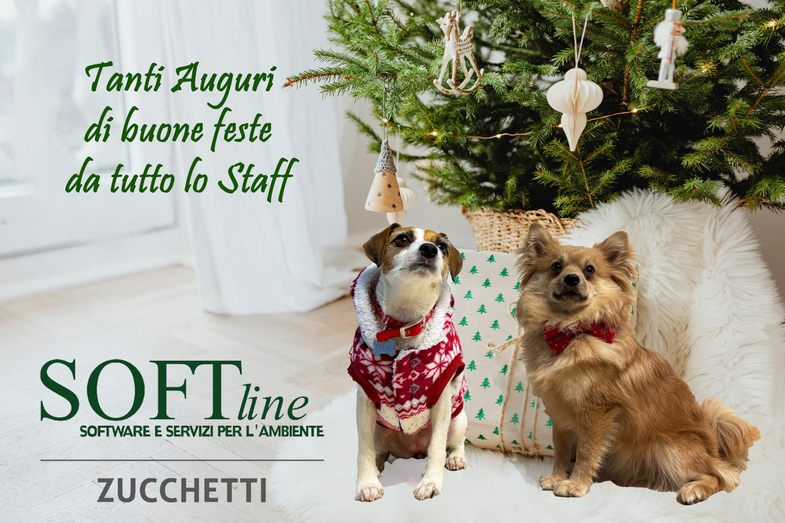 Auguri da Softline! - Softline